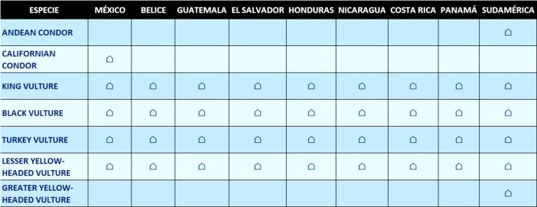 EL REY ZOPE, EL FAMILIAR CENTROAMERICANO MÁS DISTINGUIDO DEL CÓNDOR ...
